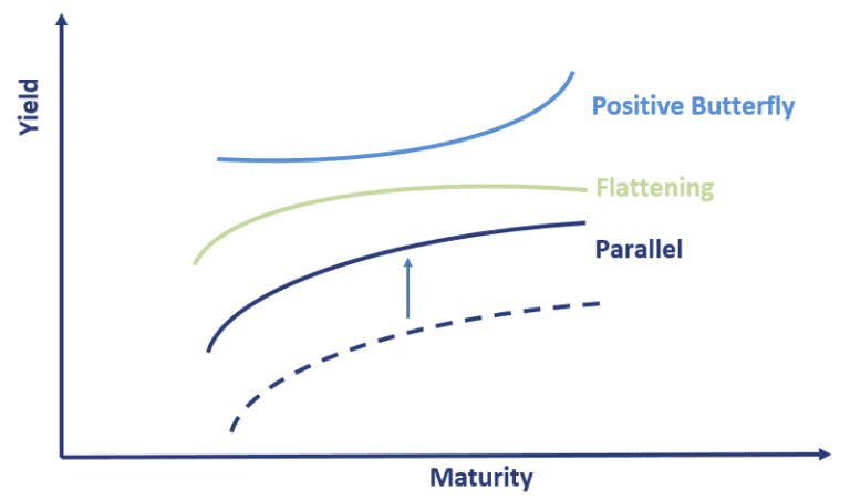 Butterfly Trades - Breaking Down Finance